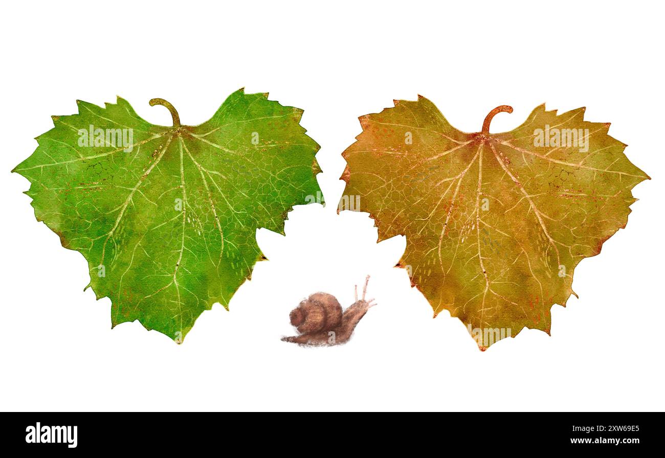 Illustration of vibrant green and brown leaves with a small snail in ...