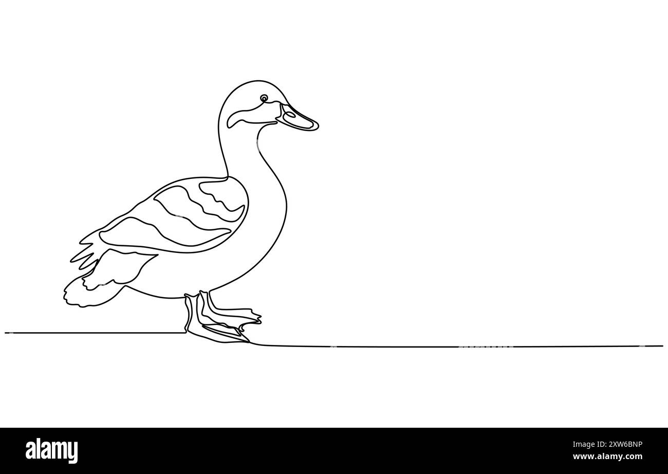Duck single continuous one line out line vector art drawing Stock ...