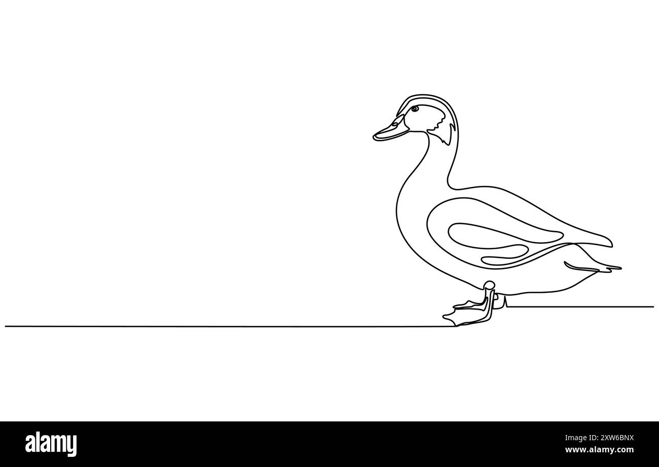 Duck single continuous one line out line vector art drawing Stock ...