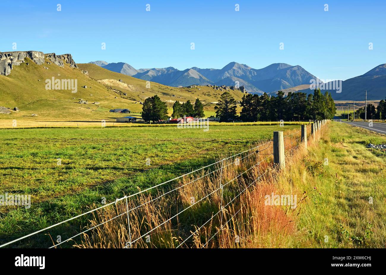 High Country New Zealand Farming at Castle Hill at Dawn in Summer. The ...