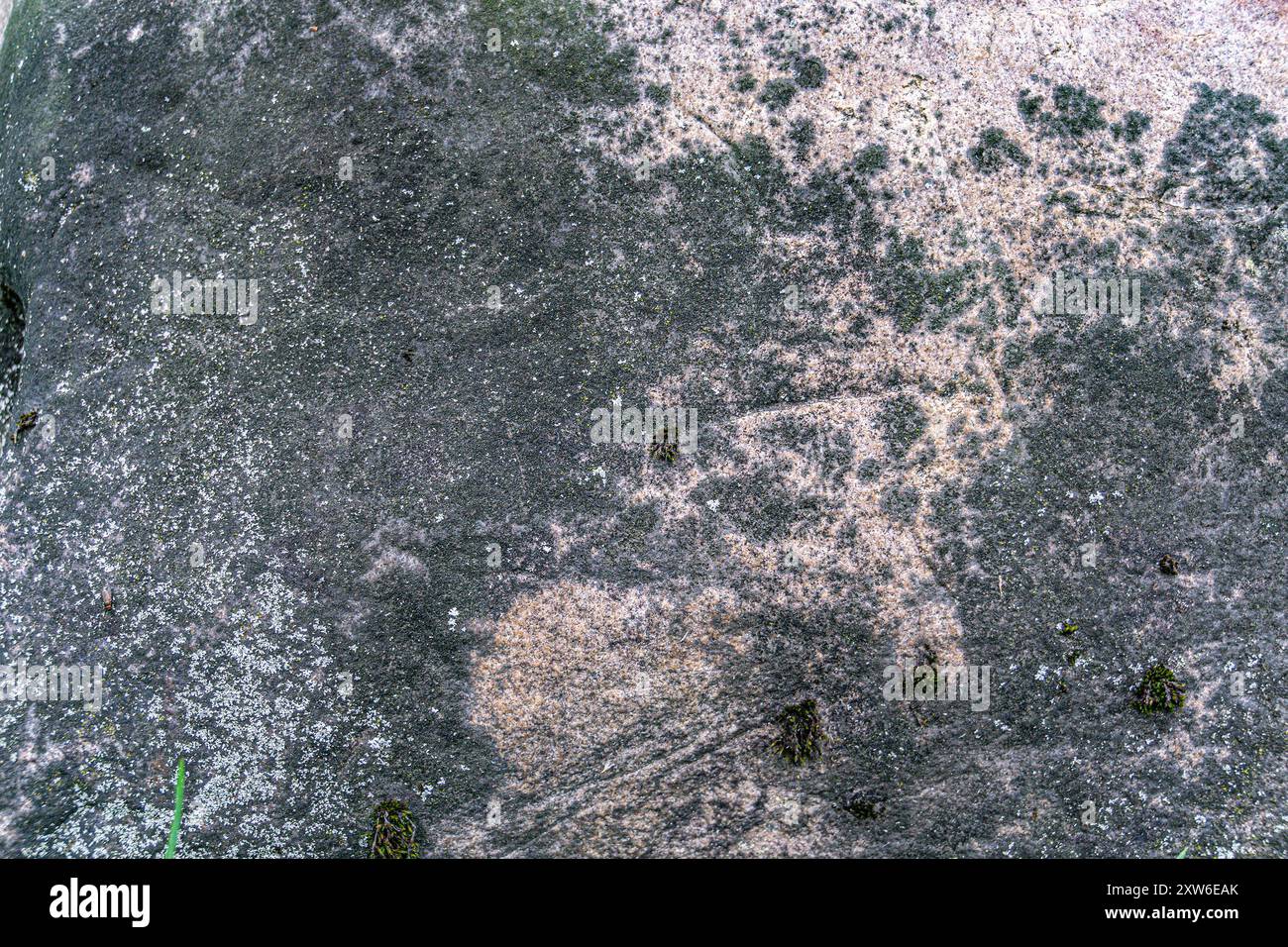 Detailed photo of granite stone surface. Close up texture of natural ...