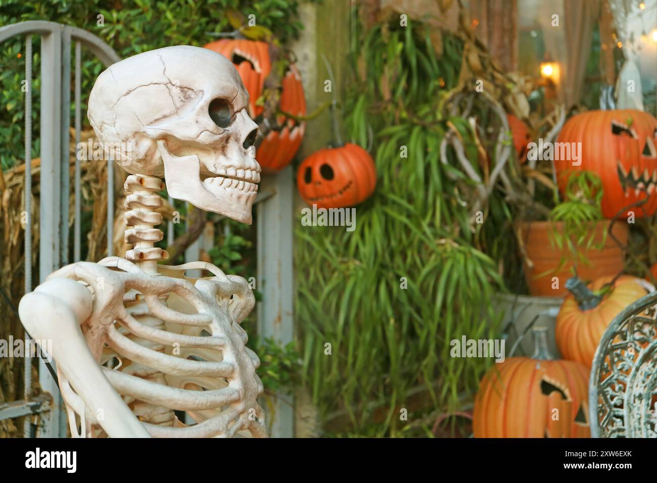Scary skeleton spooky jack hi-res stock photography and images - Alamy