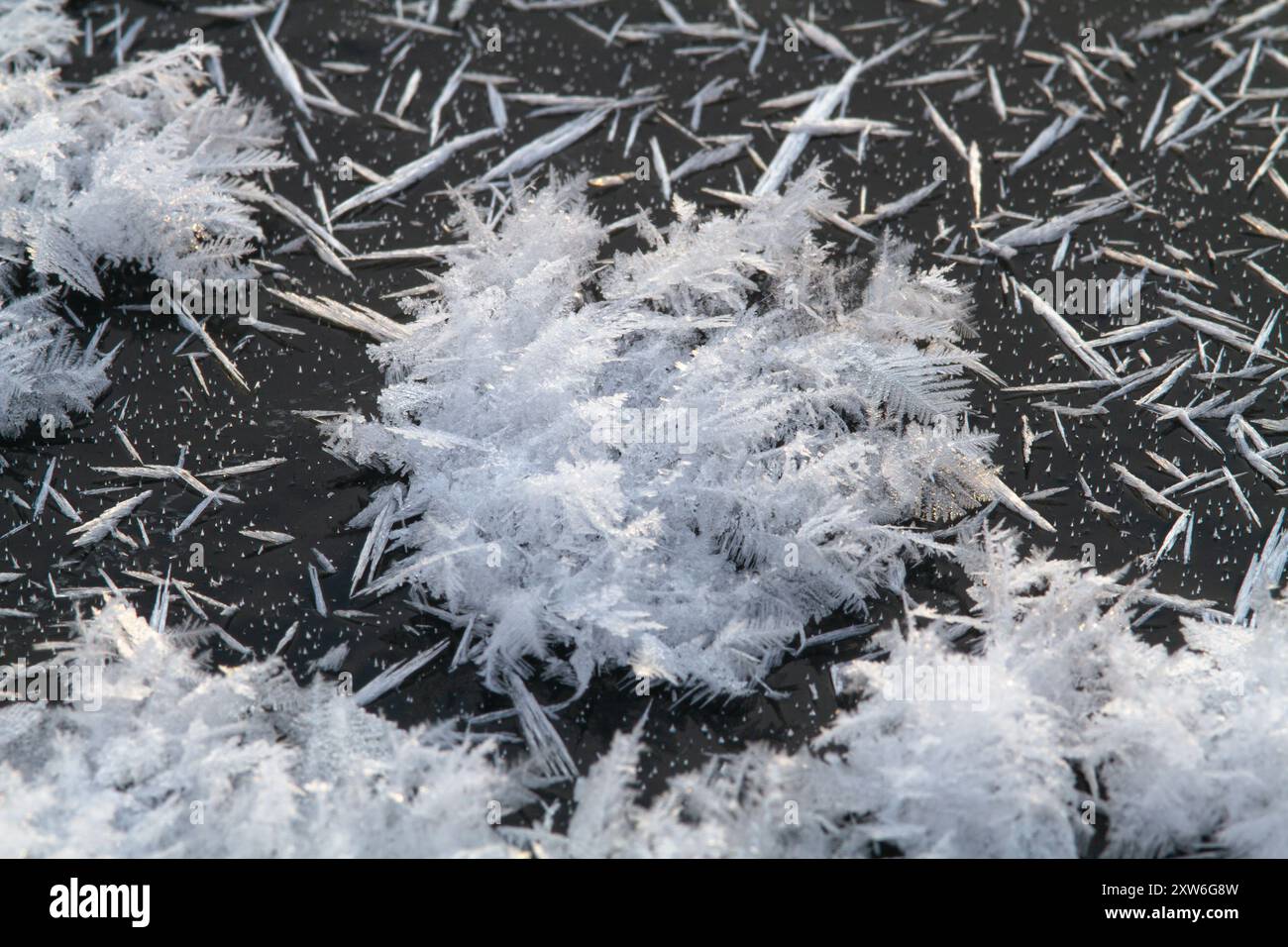 ice crystals grew on the dark river ice in the bitter cold Stock Photo ...