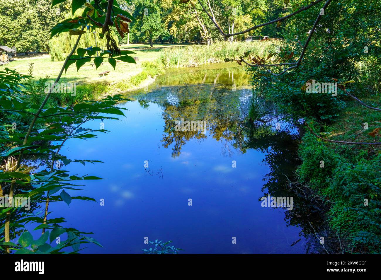 A small lake where you can relax Stock Photo - Alamy