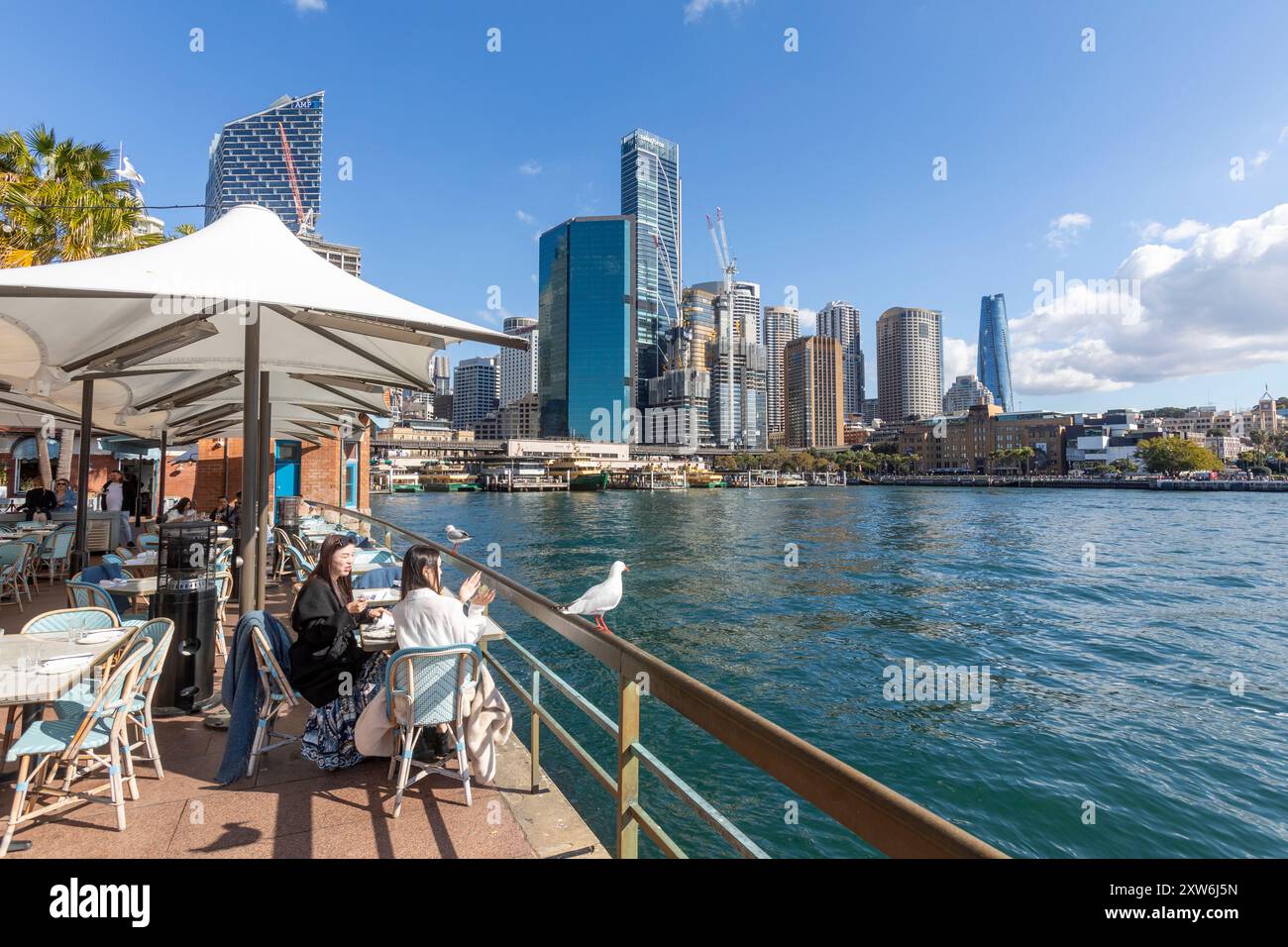 Sydney Circular Quay and Sydney harbour with high rise skyscrapers in ...