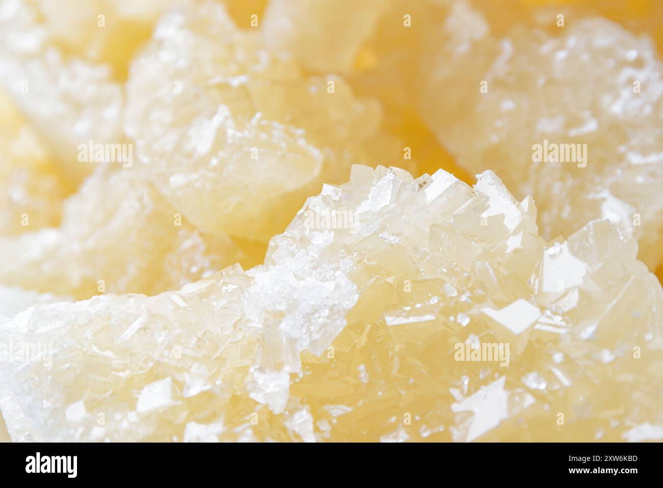 Persian closeup hi-res stock photography and images - Alamy