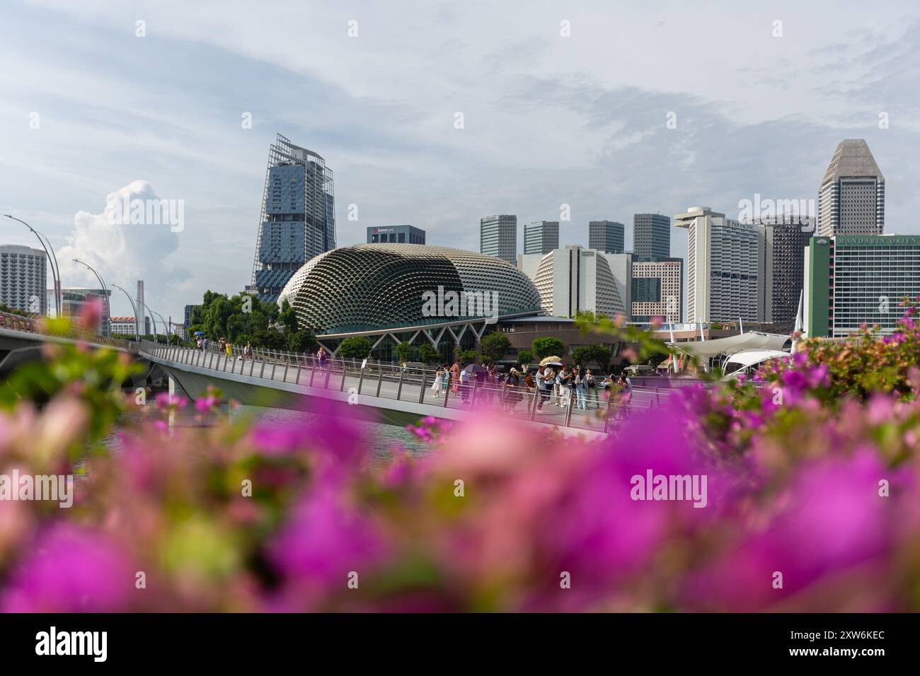 Landscape view of Esplanade, 5 stars hotels, modern commercial ...