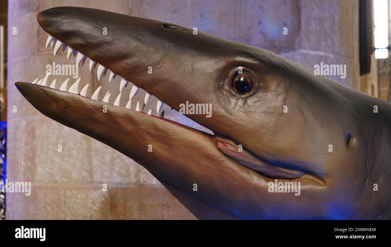 The Monsters of the Sea exhibition of prehistoric sea monsters at ...