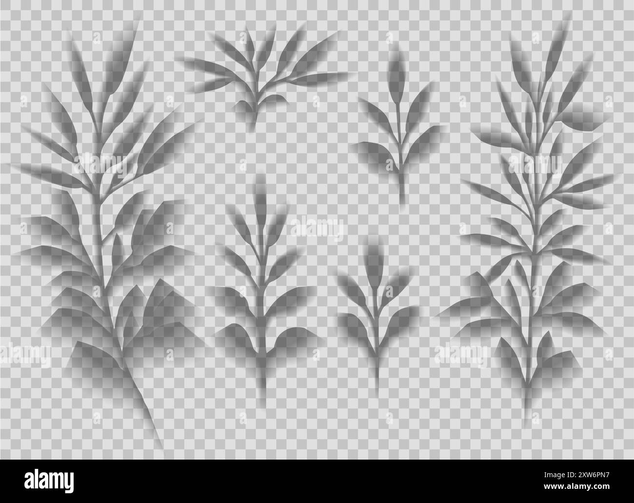 Vector set of transparent shadows of stems with foliages isolated from ...