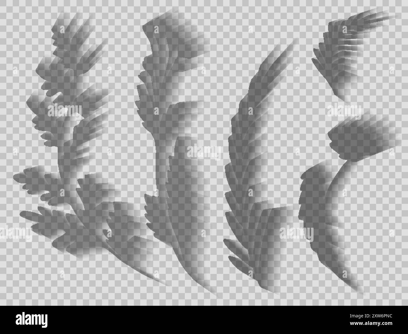 Collection of clipart twig with leaves shadow overlay effect. Vector ...