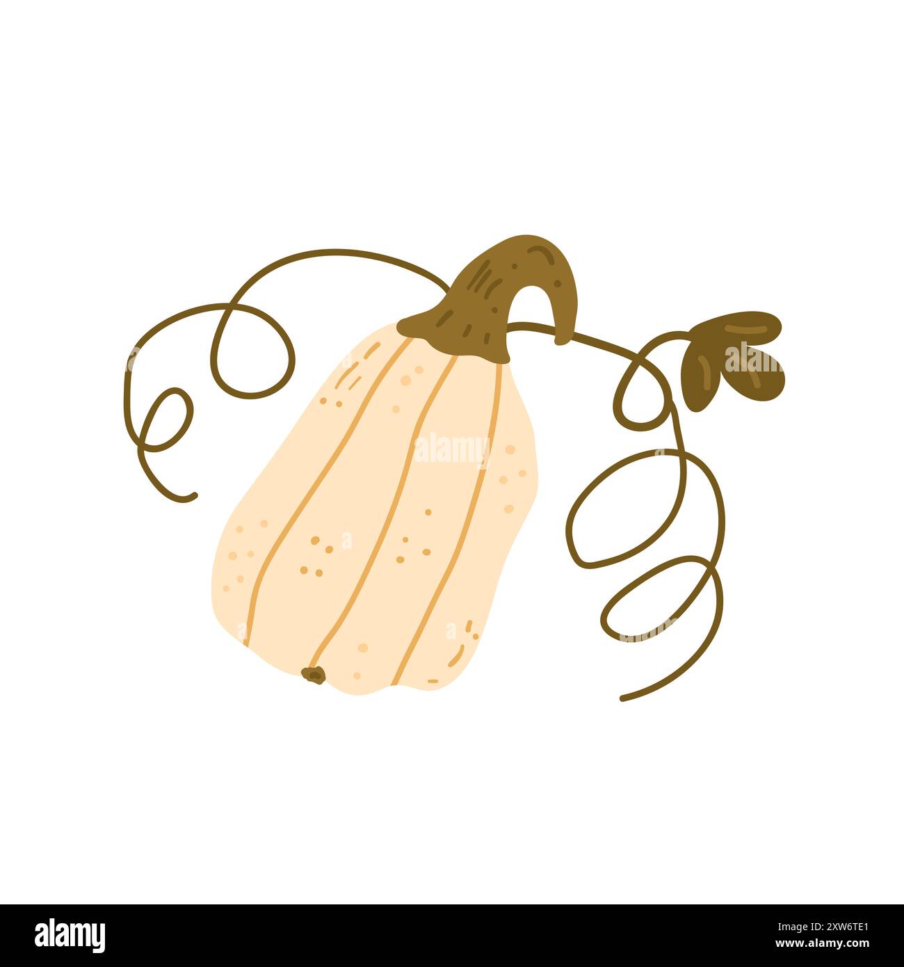 Pumpkin isolated on white background. Textured stylized winter squash ...