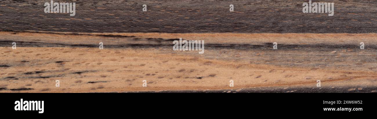 Fossil beech wood texture in close up Stock Photo - Alamy