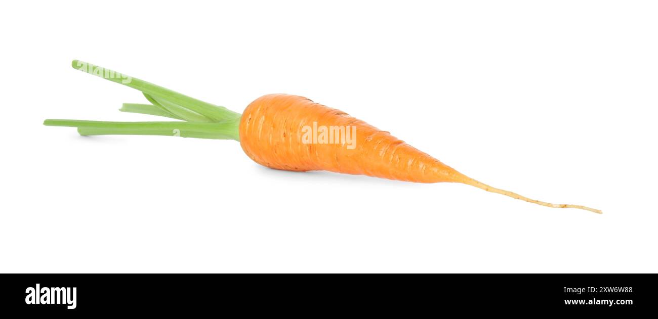 One fresh ripe carrot isolated on white Stock Photo - Alamy