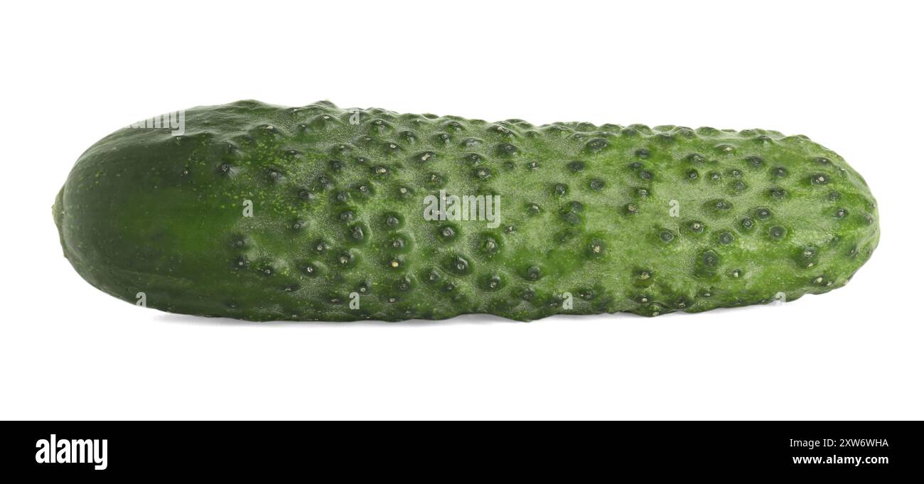 One whole fresh cucumber isolated on white Stock Photo - Alamy
