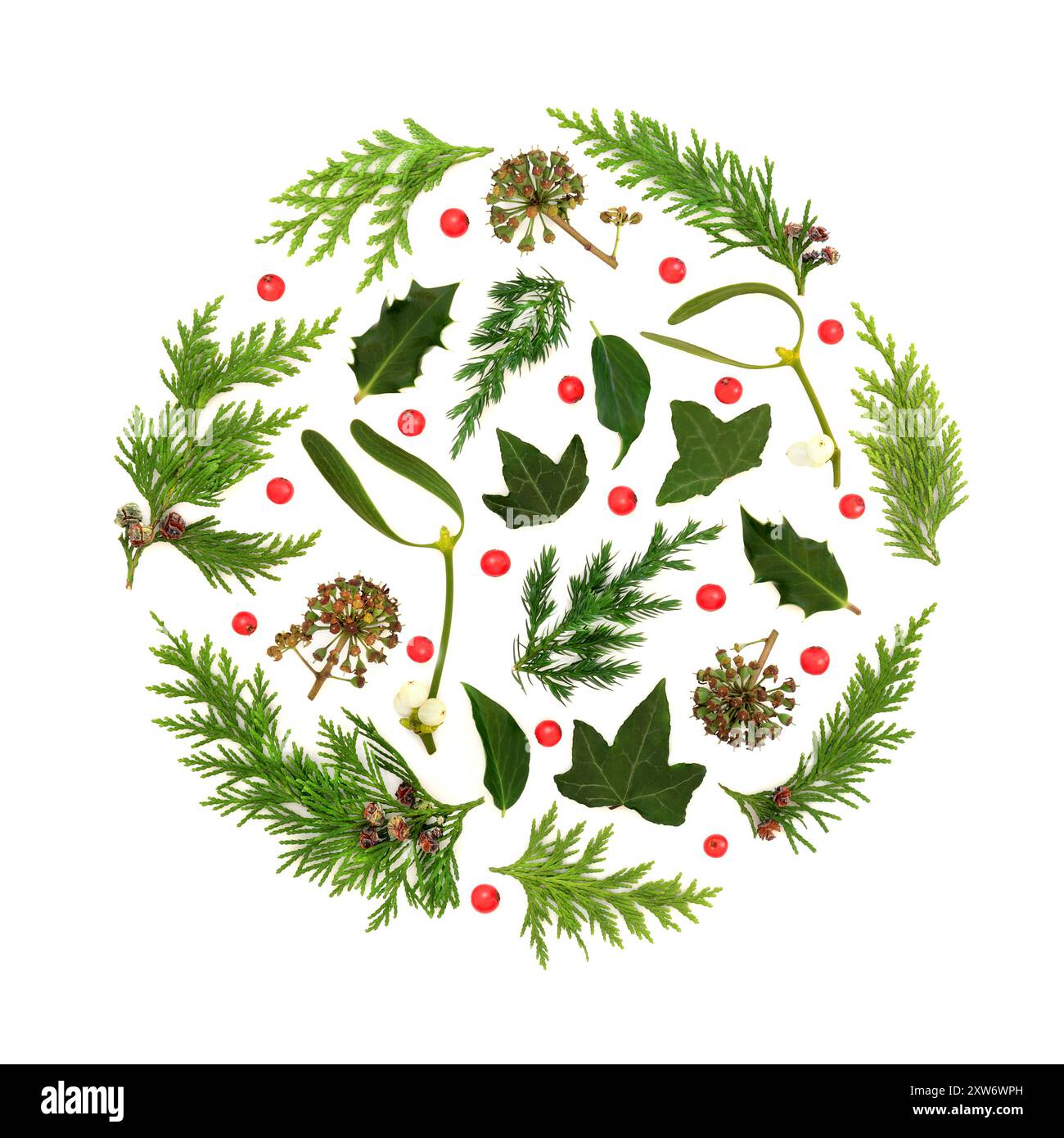 Christmas winter solstice greenery abstract nature circle shape design ...
