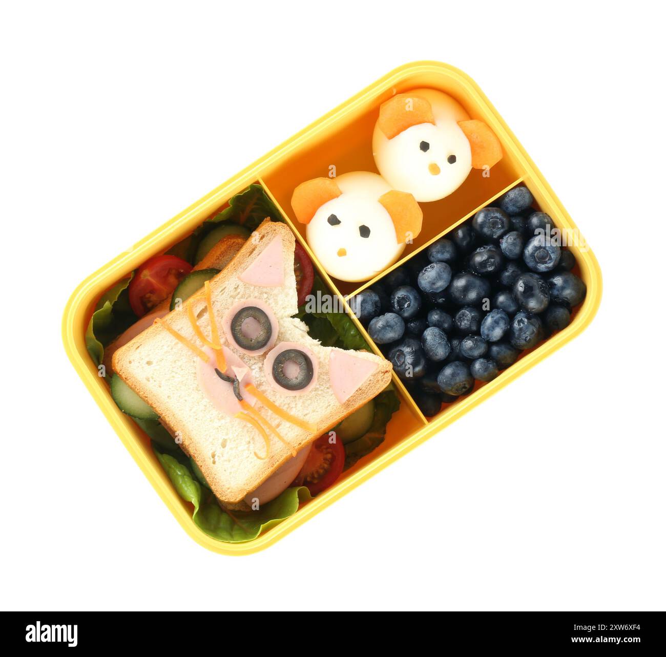 Lunch box with sandwich, eggs and blueberries isolated on white, top ...