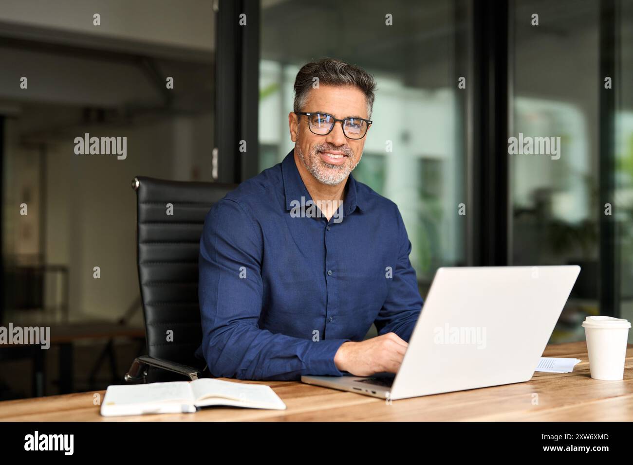 Portrait of happy mid aged business man executive working on laptop in ...
