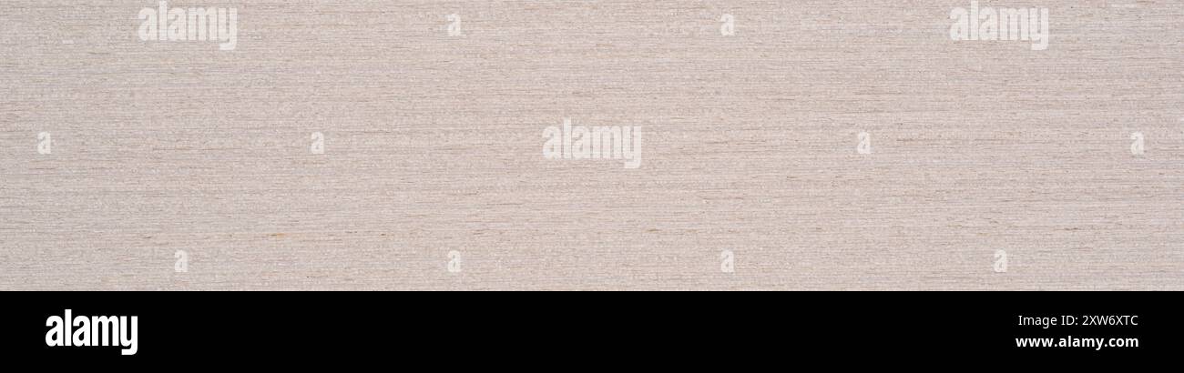 Seamless light beige veneer with a delicate, even grain and smooth ...