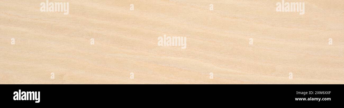 Maple veneer surface with a gentle cascade of creamy hues and subtle ...