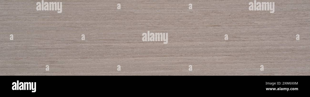 Gentle gradients of gray and muted earth tones cascade across the ...