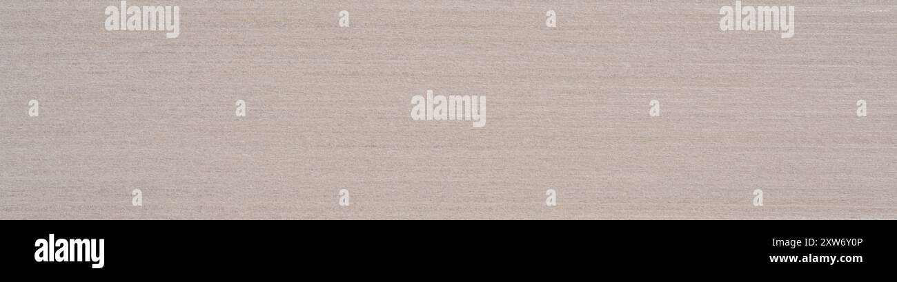 Gentle hues of beige and soft cream weave through this serene birch ...