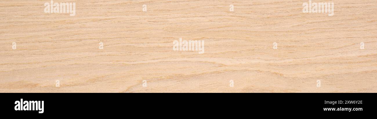 A warm canvas of honeyed beige and sandy tan washes over the subtle ...