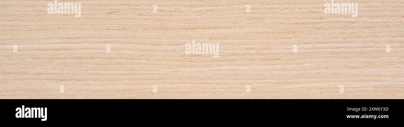 Subtle cream and beige striations grace this elegant oak wood veneer ...