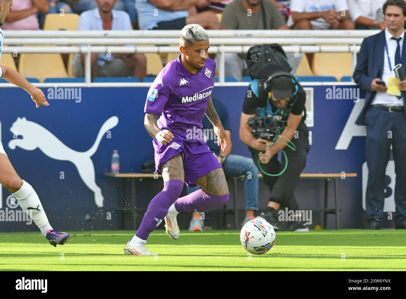 Parma dodo hi-res stock photography and images - Alamy