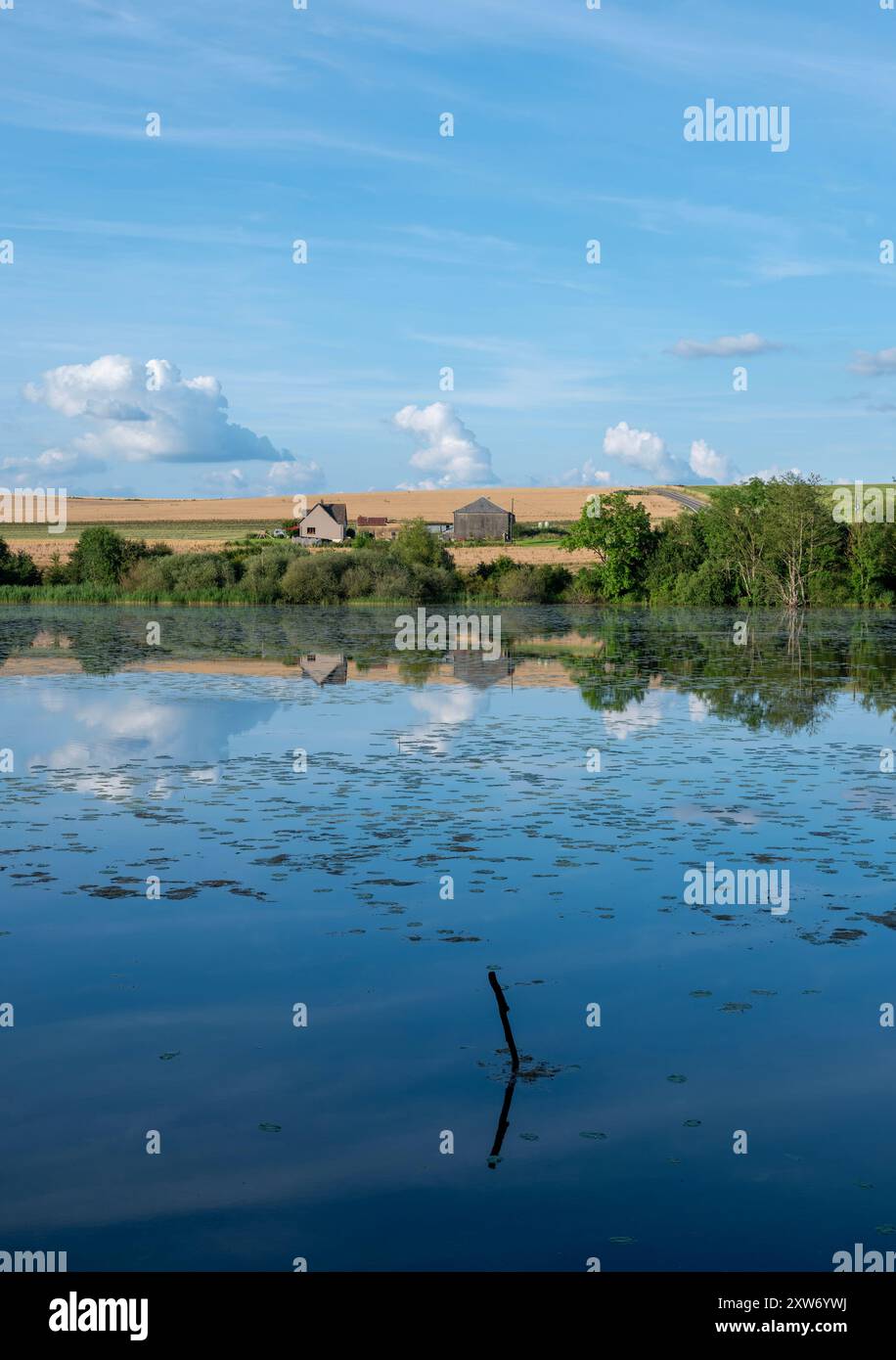 lac de bairon in french champagne-ardenne under blue sumer sky with ...