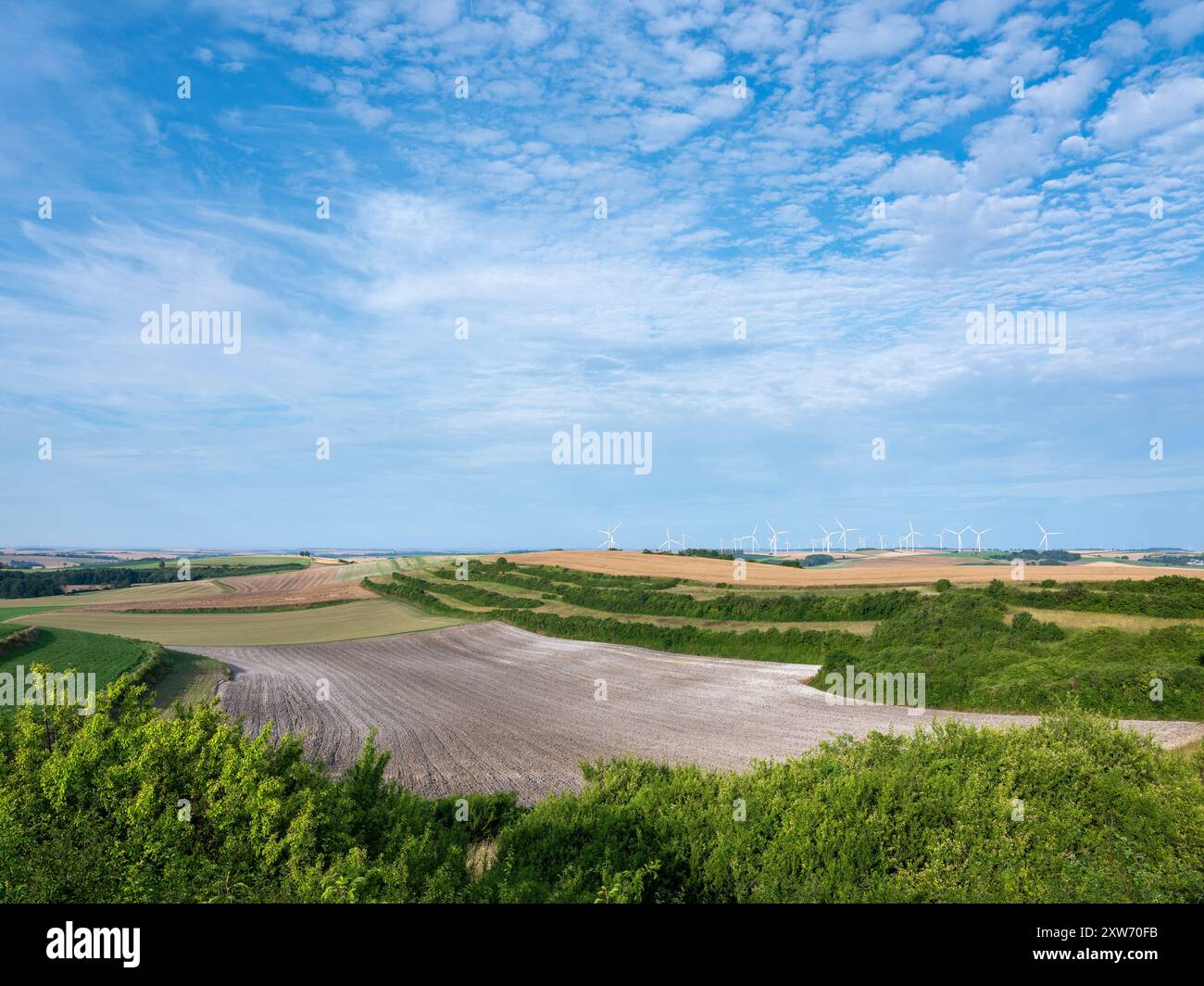 rural landscape in champagne-ardenne with wind turbines and fields ...