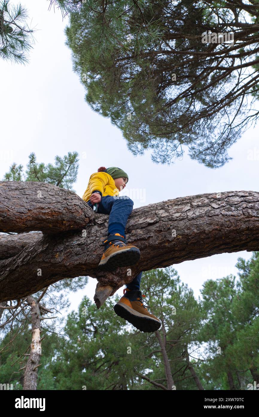 Boy sitting on tree branch hi-res stock photography and images - Alamy