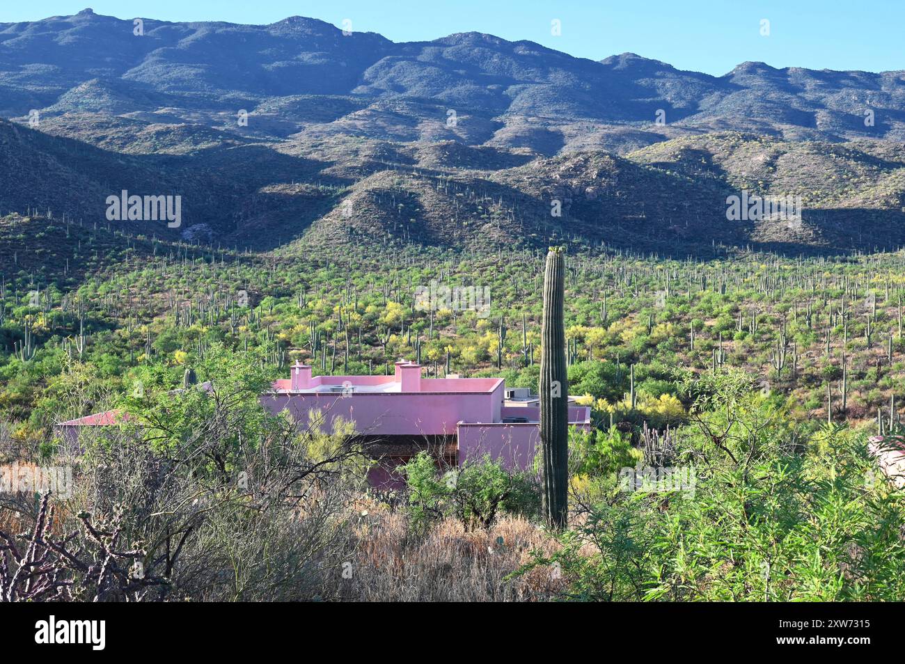 USA. ARIZONA. TUCSON. VIEW OF THE TANQUE VERDE RANCH WITH ITS VARIOUS ...