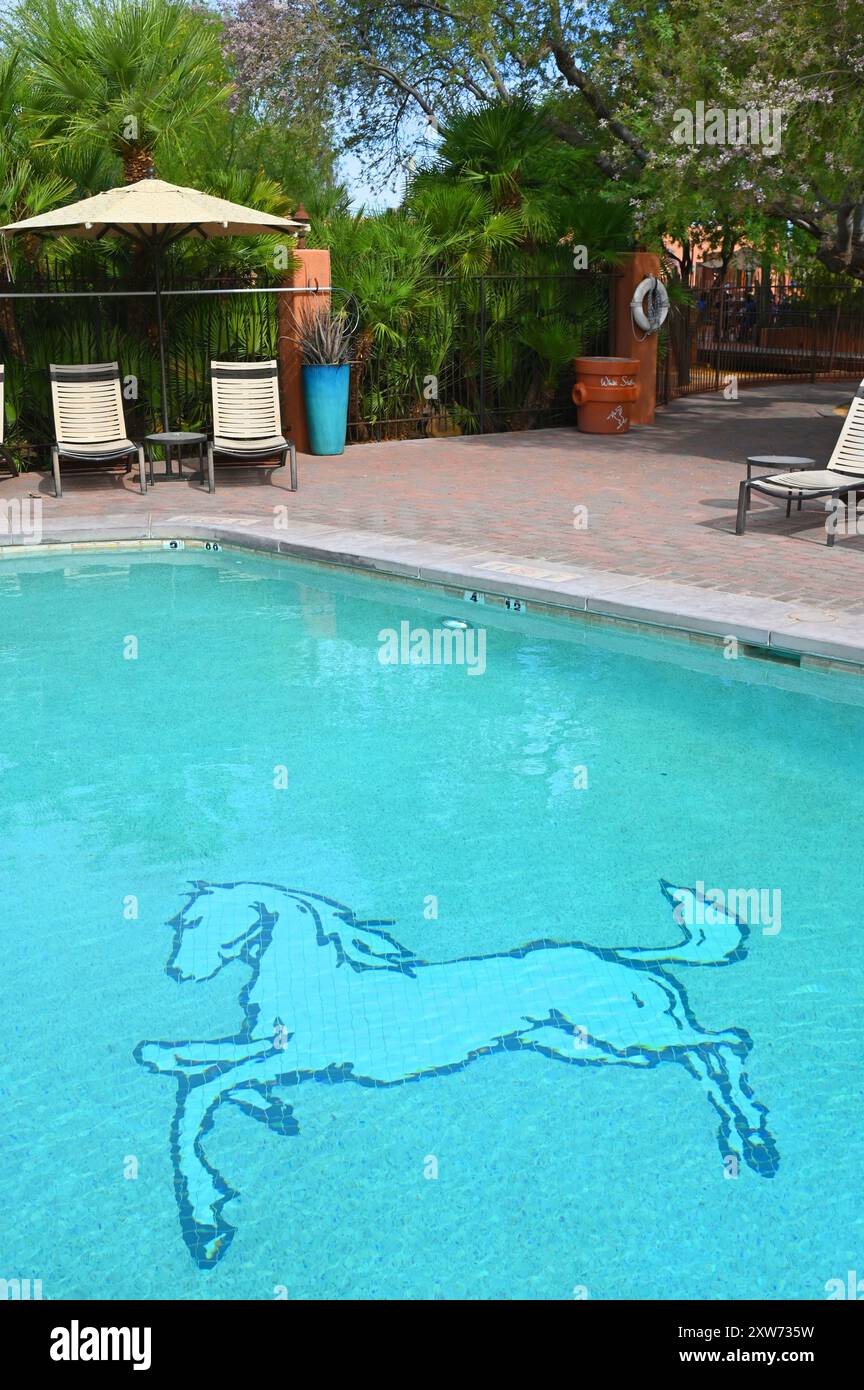 USA. ARIZONA. TUCSON. SWIMMING POOL AT THE WHITE STALLION RANCH WHICH ...