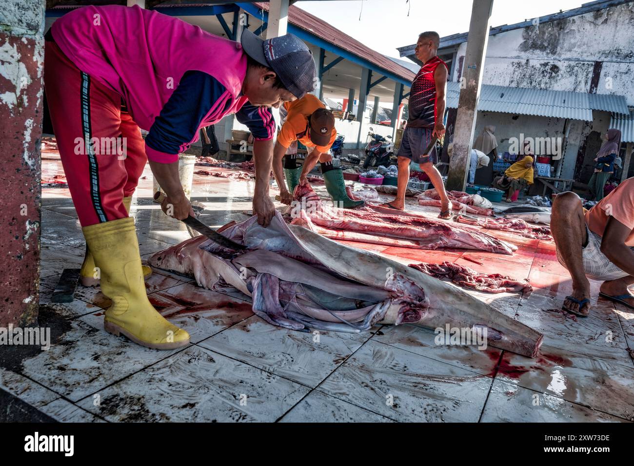 Tanjung Luar Fish market, Luar Cape, Lombok, Indonesia, Asia Stock ...