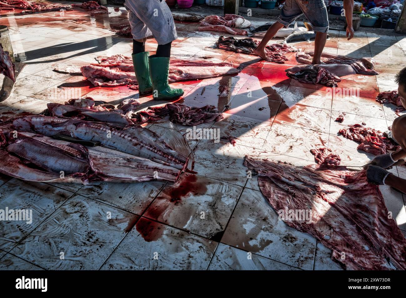Tanjung luar fish market hi-res stock photography and images - Alamy