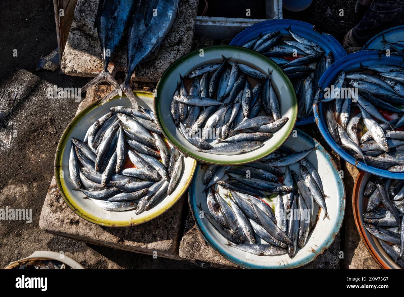 Tanjung luar fish market hi-res stock photography and images - Alamy