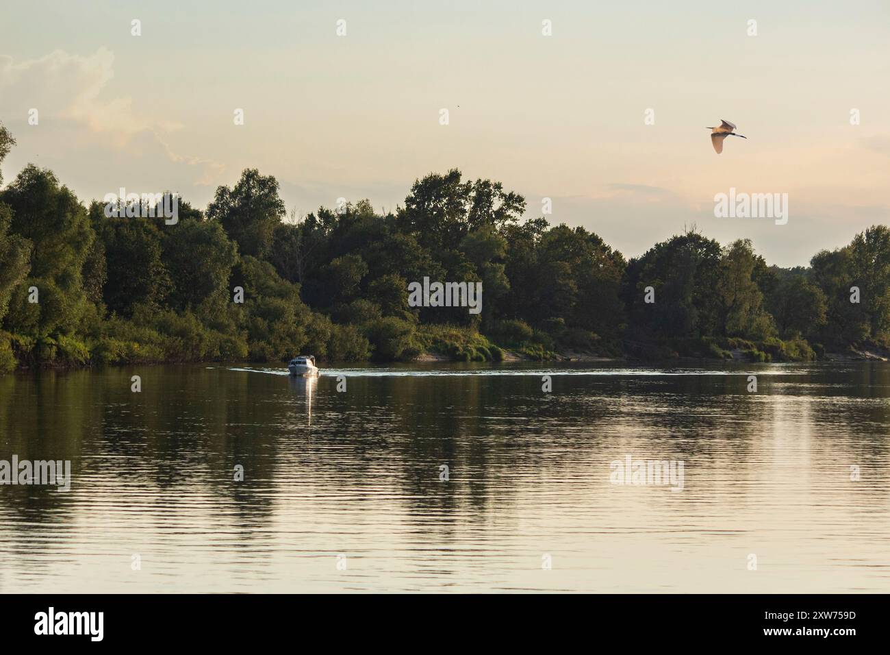Evening river landscape with yacht Stock Photo - Alamy