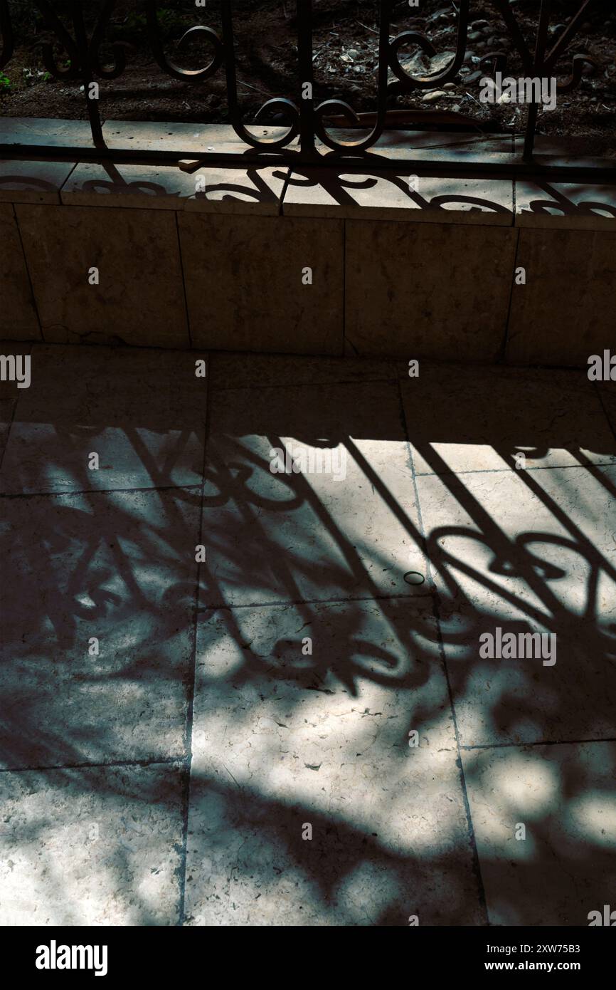 Palm tree paving stone shadow hi-res stock photography and images - Alamy
