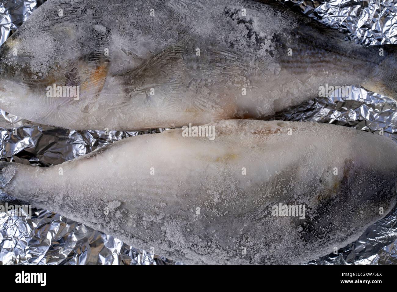 Defrosting fish hi-res stock photography and images - Alamy