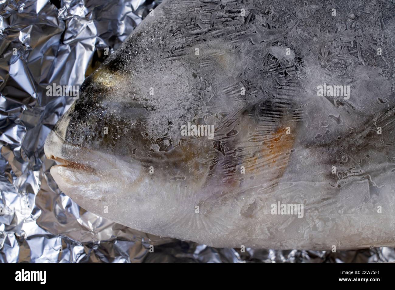 Defrosting fish hi-res stock photography and images - Alamy
