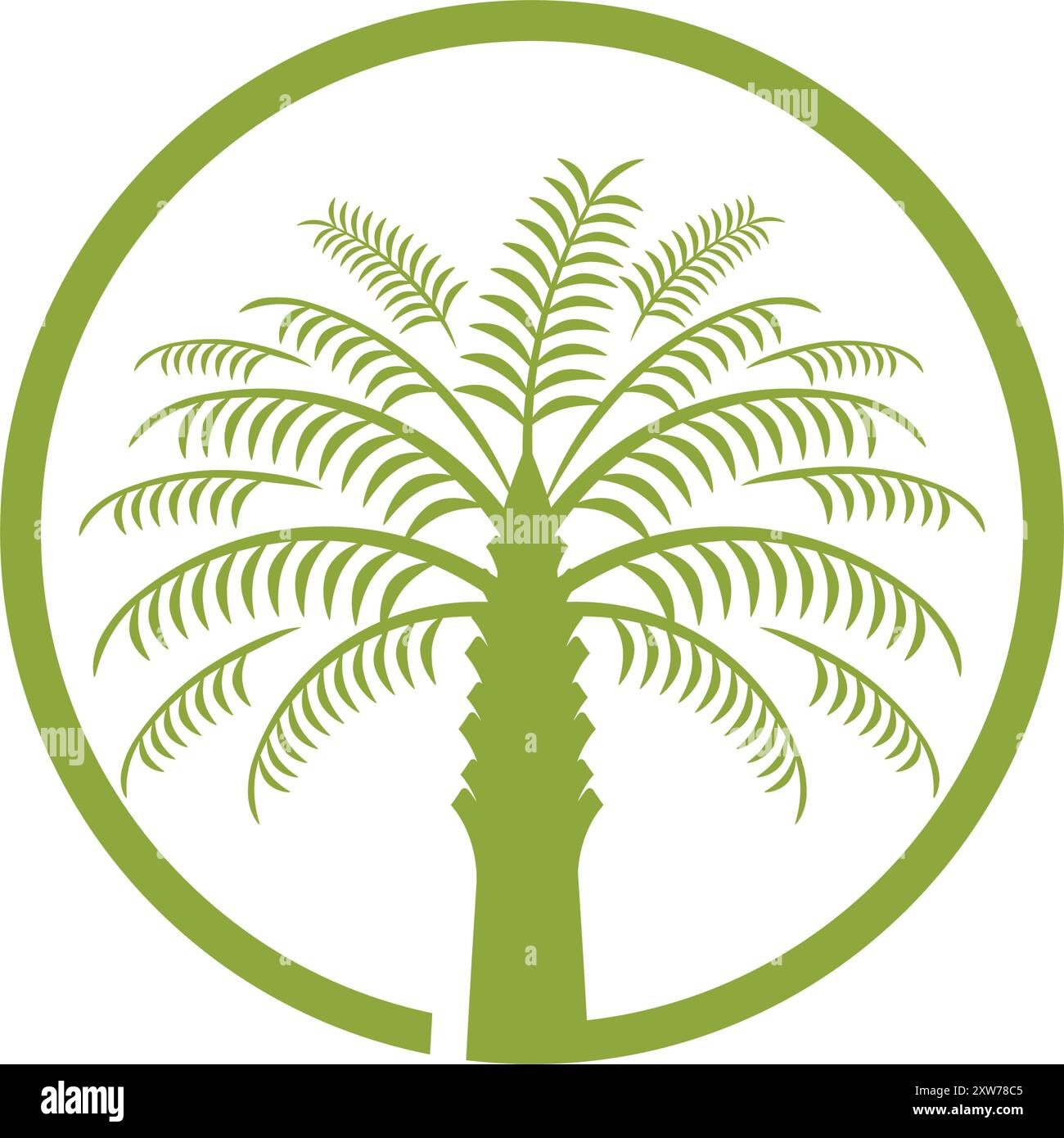 Palm tree vector free hi-res stock photography and images - Alamy