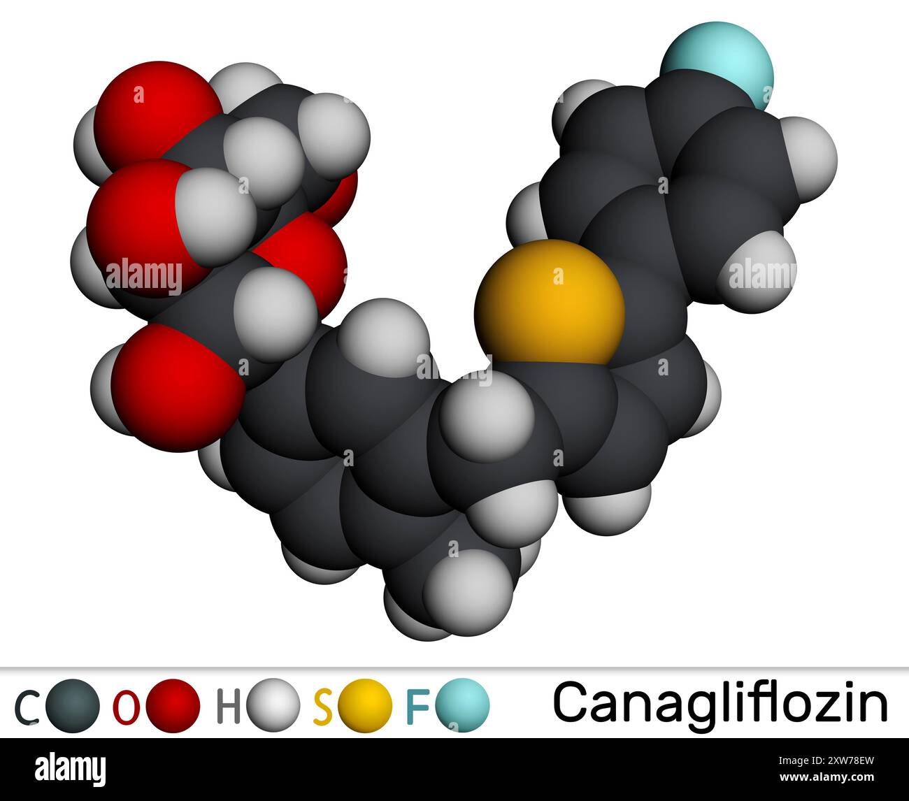 Canagliflozin molecule. It is antidiabetic medication, SGLT2 inhibitor ...