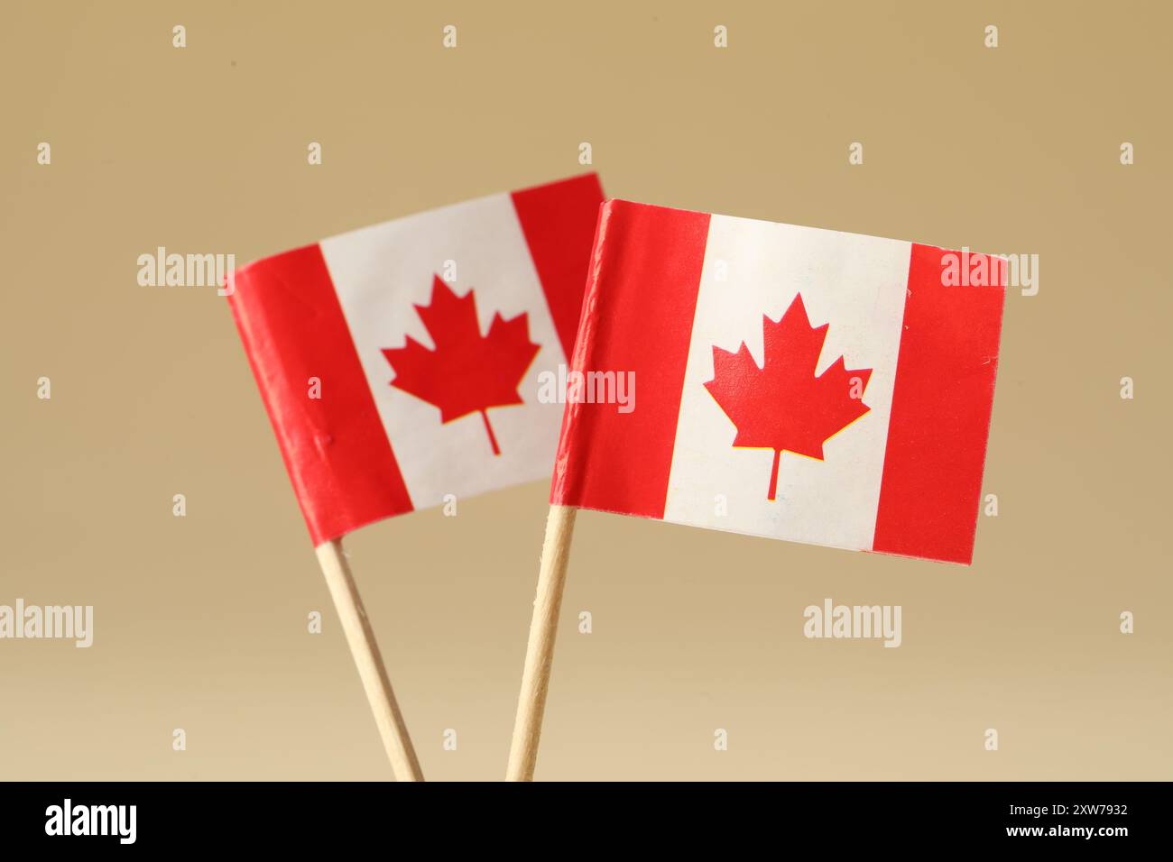 Small paper flags of Canada on beige background, closeup Stock Photo ...