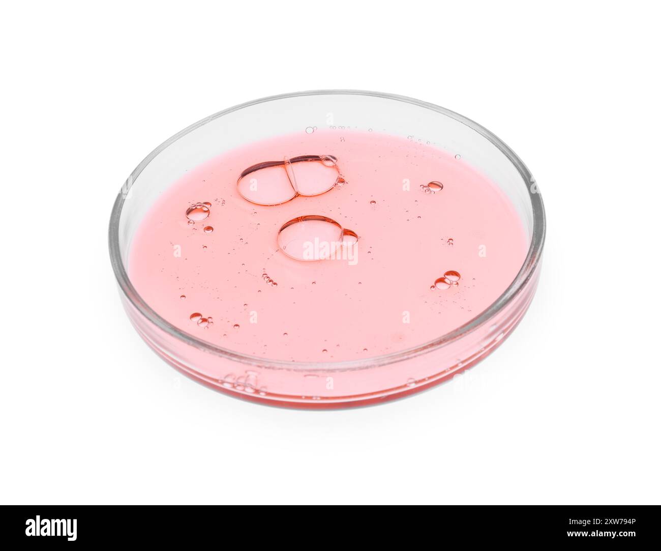 Petri dish with sample isolated on white Stock Photo - Alamy