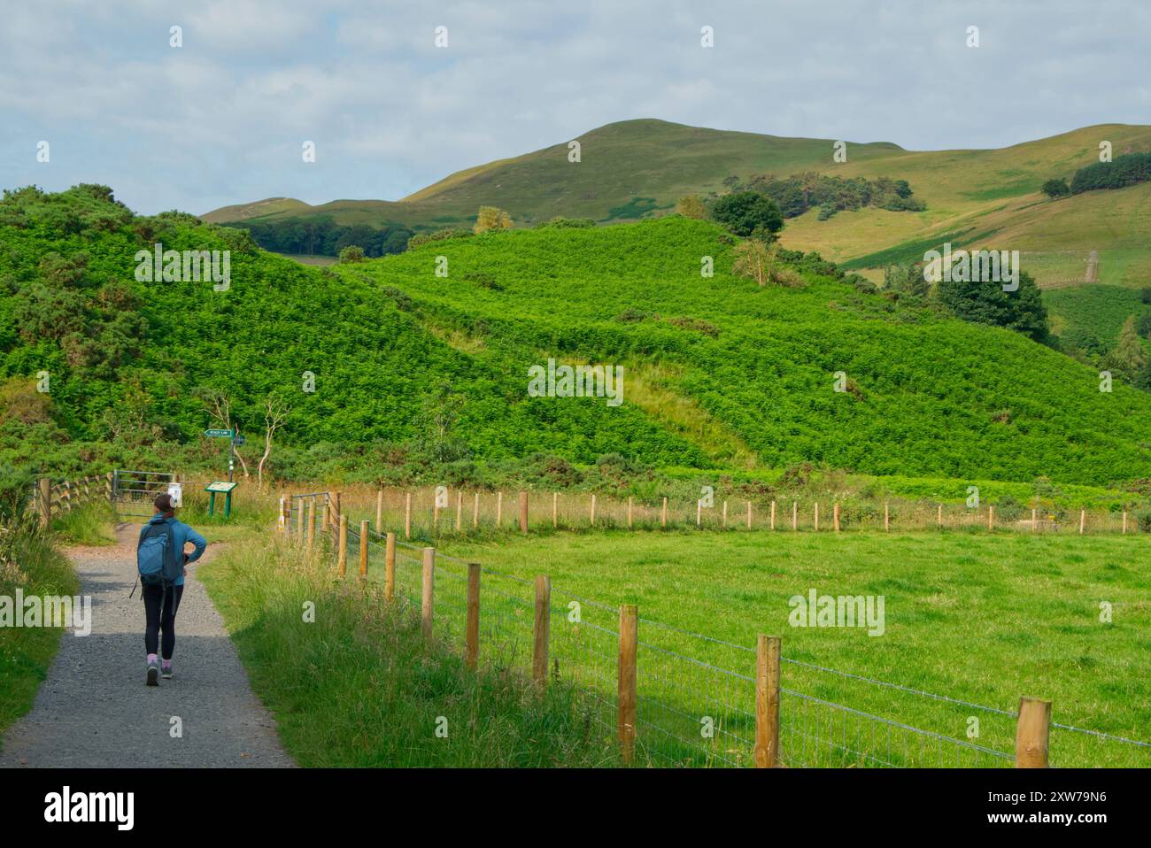 Pentland hill regional park hi-res stock photography and images - Alamy