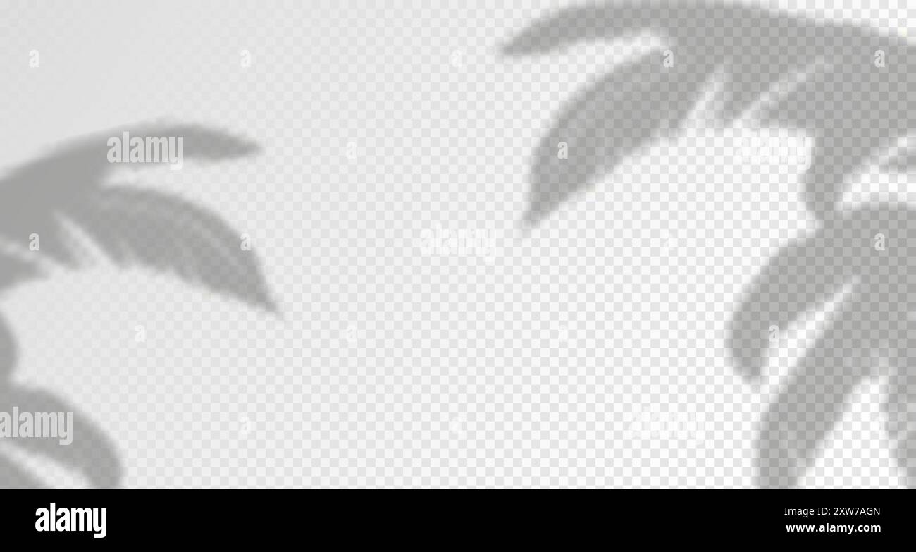 Sun glare plants Stock Vector Images - Alamy