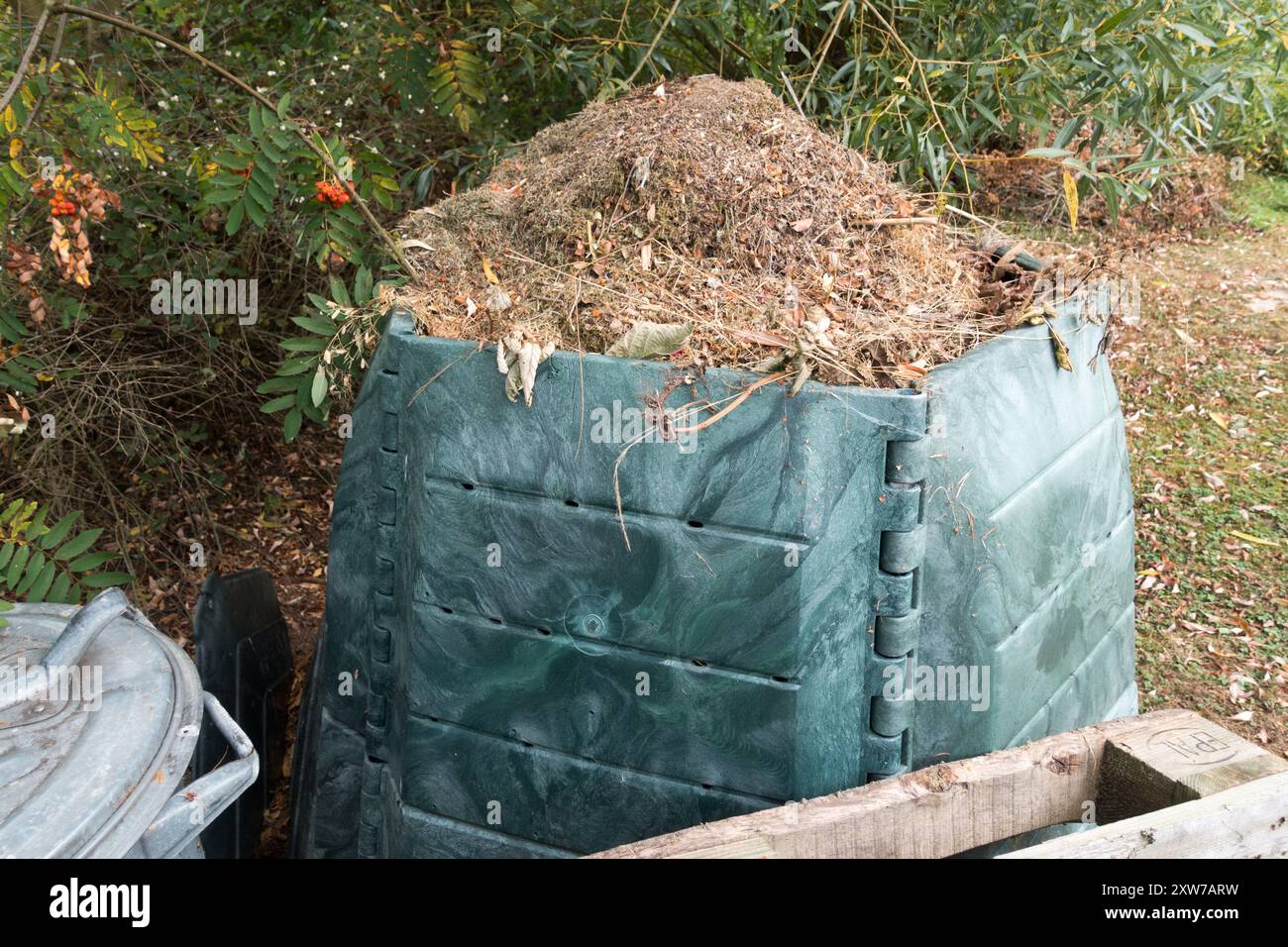 Plastic bin - composter in the garden, filled with cut grass Stock ...