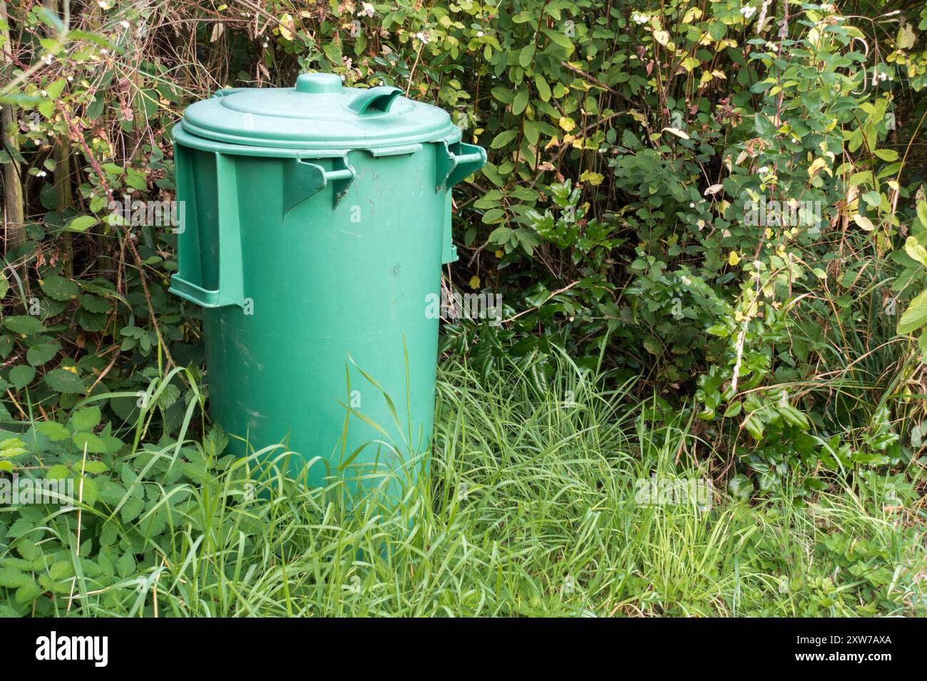 Plastic container, trash can placed in the garden, bin Stock Photo - Alamy