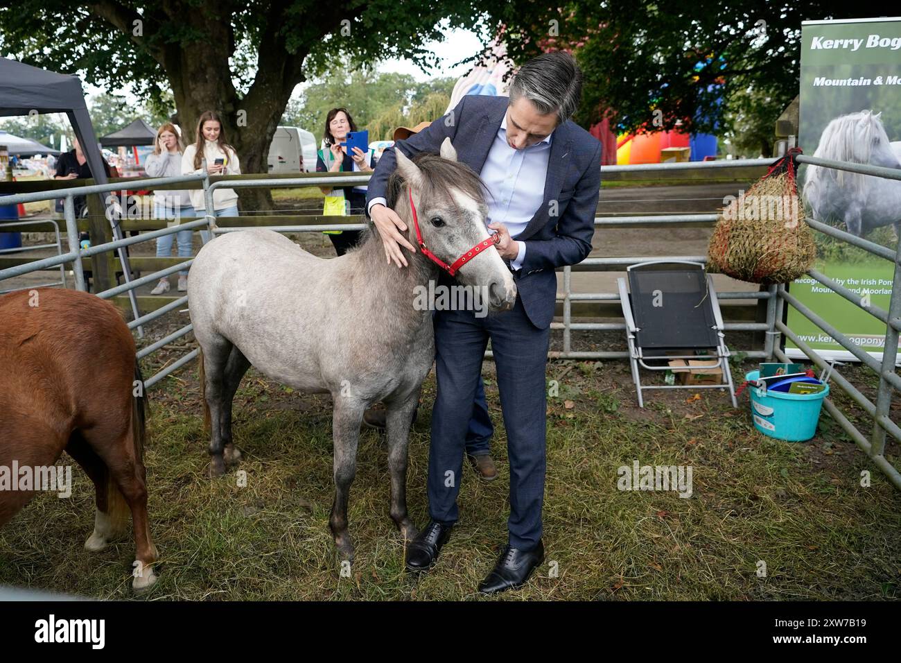 Taoiseach Simon Harris stroking a Kerry Bog pony during a visit to The ...