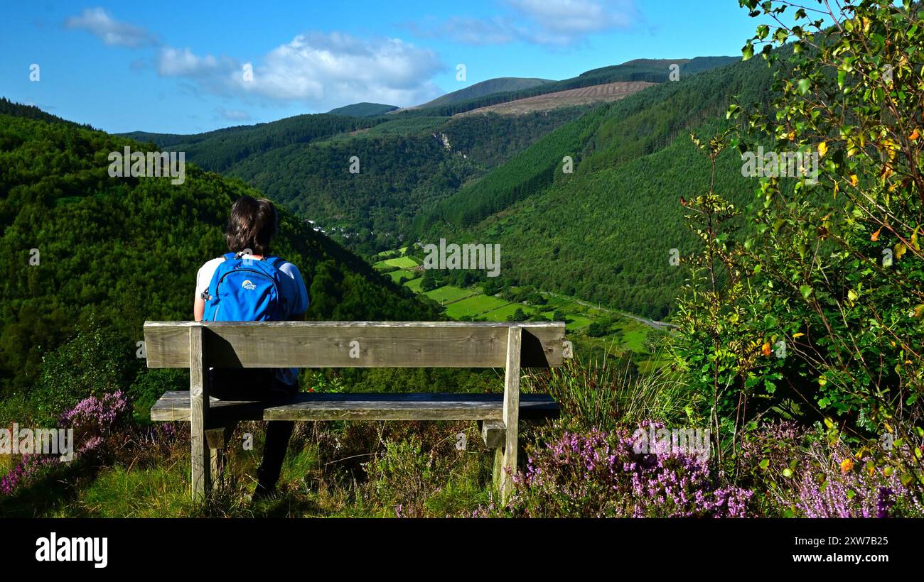 Dyfi Forest - Foel Friog walking route and part of the National Forest ...